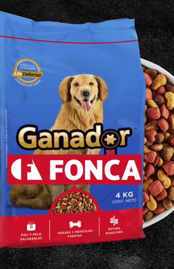 Curso FONCA Jóvenes Creadores para Artes Visuales - Decademia